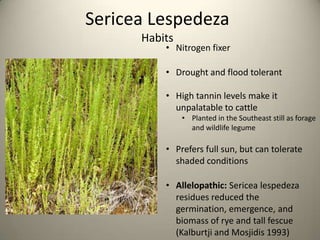 Sericea lespedeza | PPTX | Agriculture | Industries