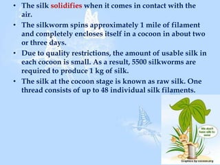 Sericulture | PPTX