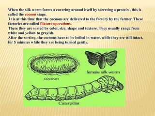 Sericulture: History,silk route & types of silk | PPTX