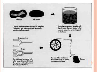 Sericulture | PPTX