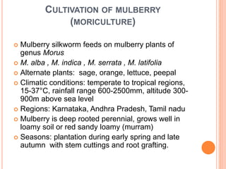 Sericulture | PPTX
