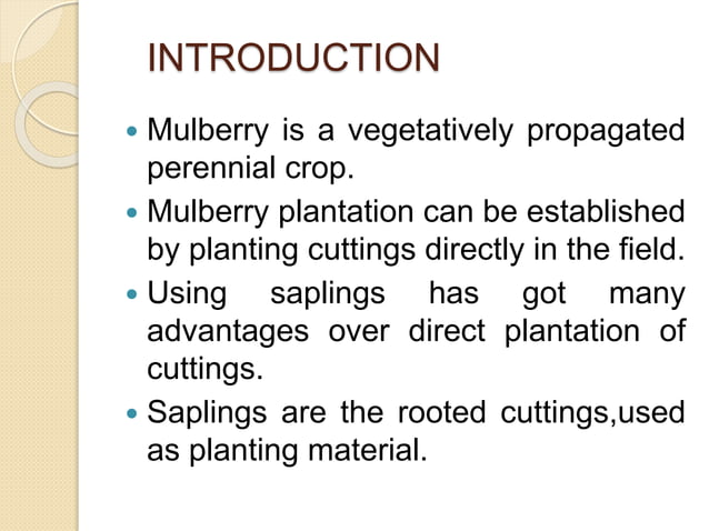 Nursery techniques of mulbery plant | PPTX