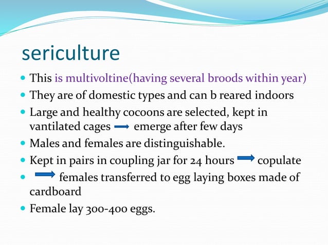 Sericulture | PPTX | Needlework | Arts and Crafts