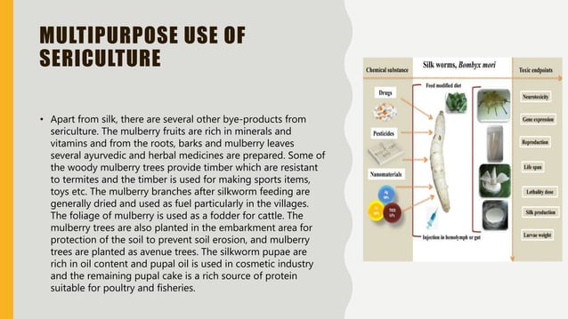 Sericulture | PPT