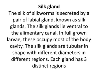 Sericulture | PPTX