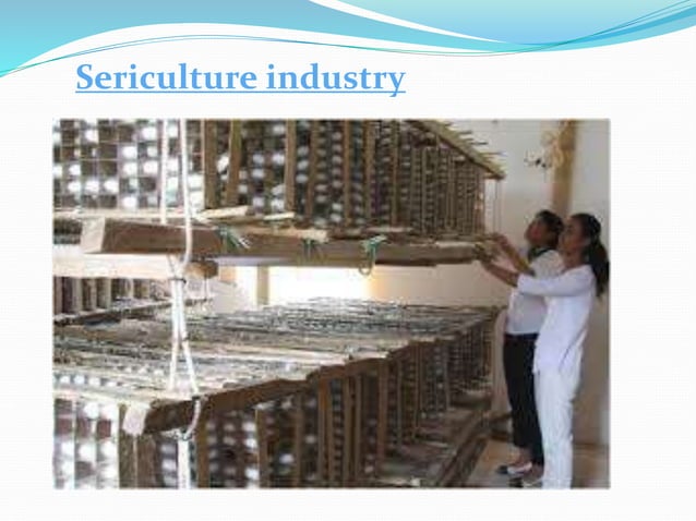 Sericulture | PPT