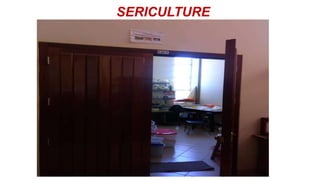 SERICULTURE.pptx
