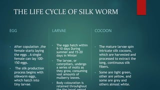 SERICULTURE IN ONLINE MARKETING.PPT1.pptx