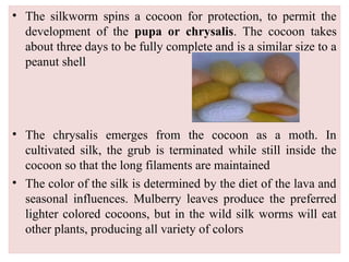 sericulture-culture of silk worms for silk | PPT