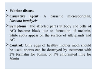 sericulture-culture of silk worms for silk | PPT