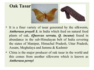 sericulture-culture of silk worms for silk | PPT