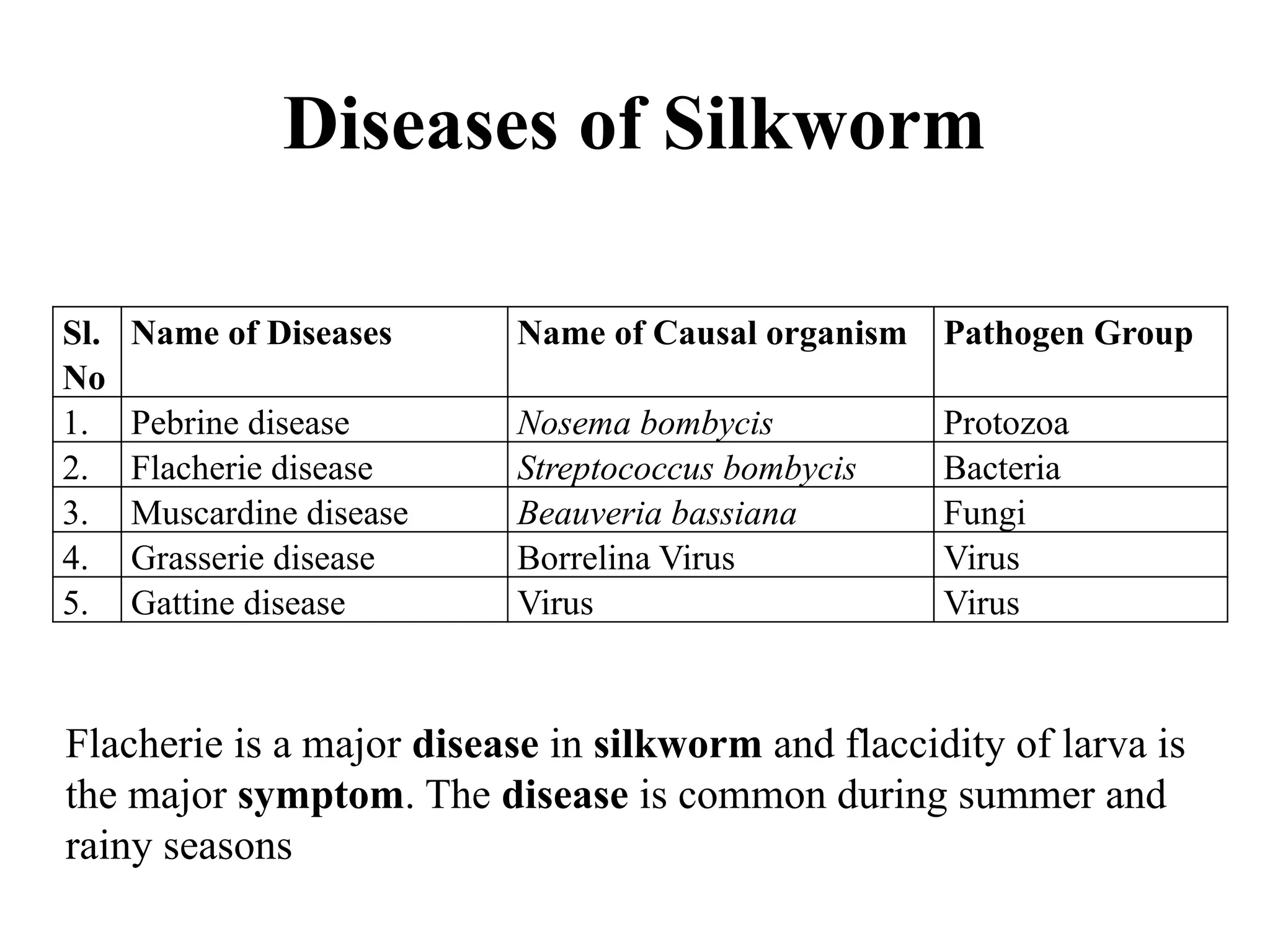 Sericulture and Silk Production in BD .pptx