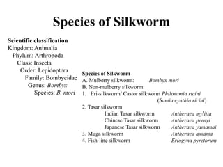 Sericulture and Silk Production in BD .pptx