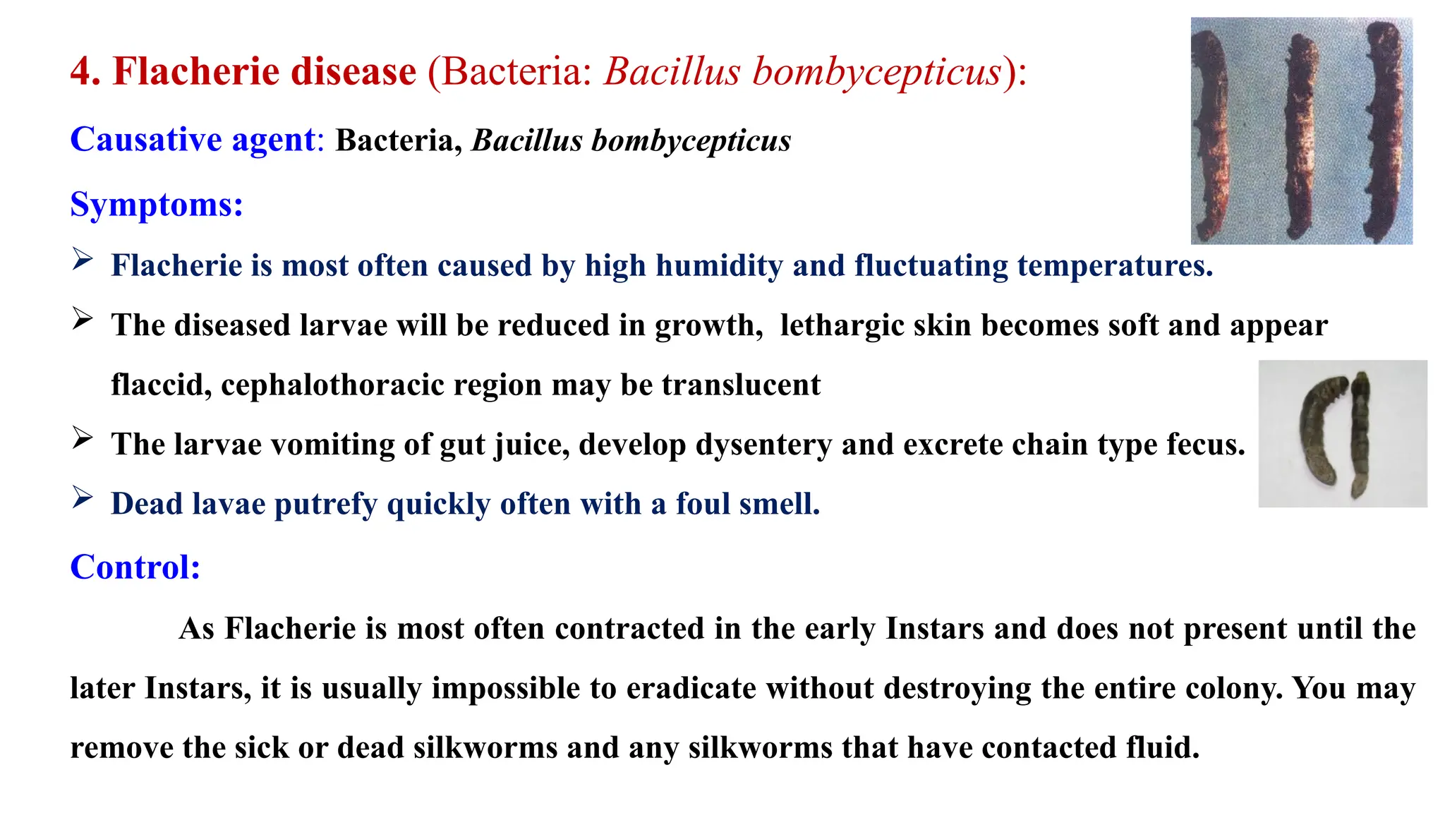 Sericulture- post harvest of cocoon.pptx