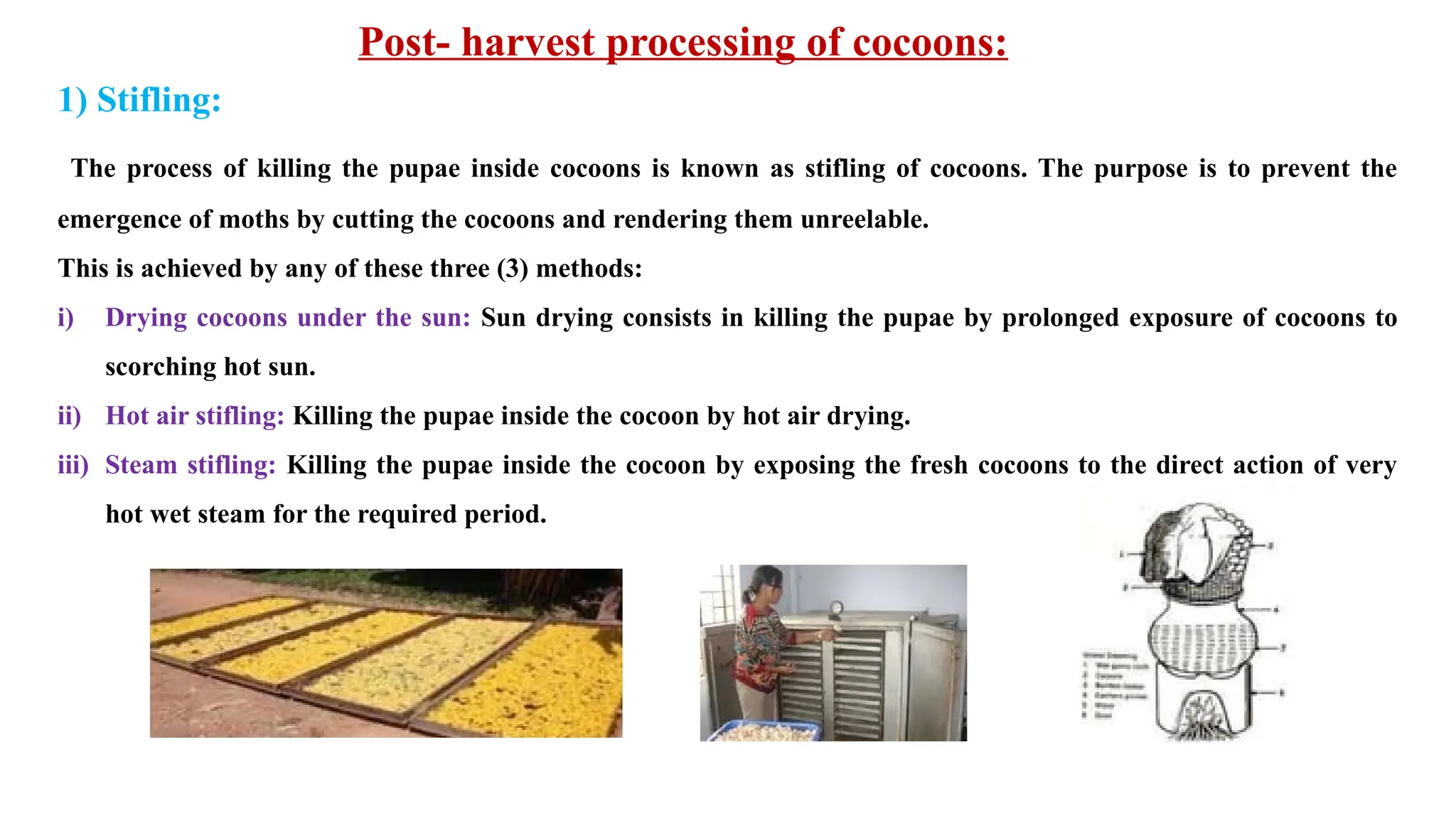 Sericulture- post harvest of cocoon.pptx