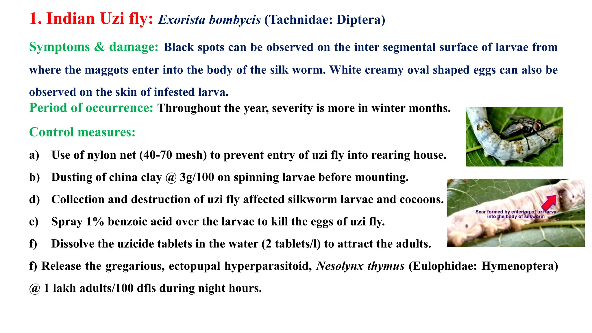 Sericulture- post harvest of cocoon.pptx