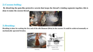 Sericulture- post harvest of cocoon.pptx