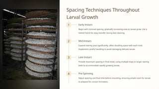 Sericulture- Rearing , mounting and harvesting.pptx