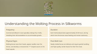 Sericulture- Rearing , mounting and harvesting.pptx