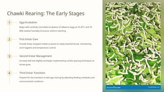 Sericulture- Rearing , mounting and harvesting.pptx