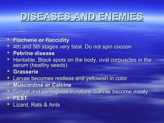 Sericulture lec China History Stages Duration Activity | PPT