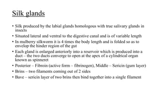 Sericulture notes culturing of different types of silkworm | PDF