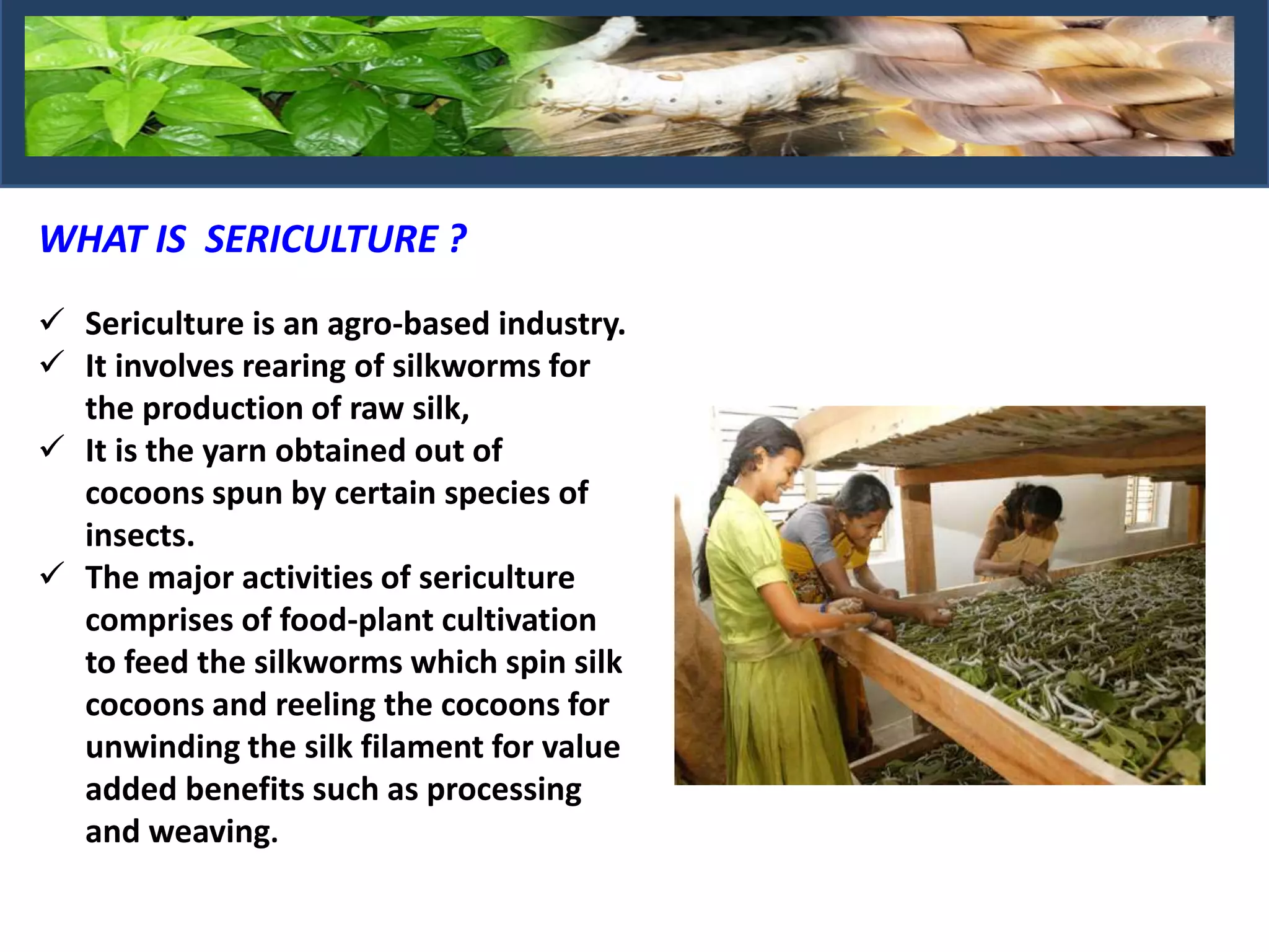 Sericulture & types of silks 1 | PPSX