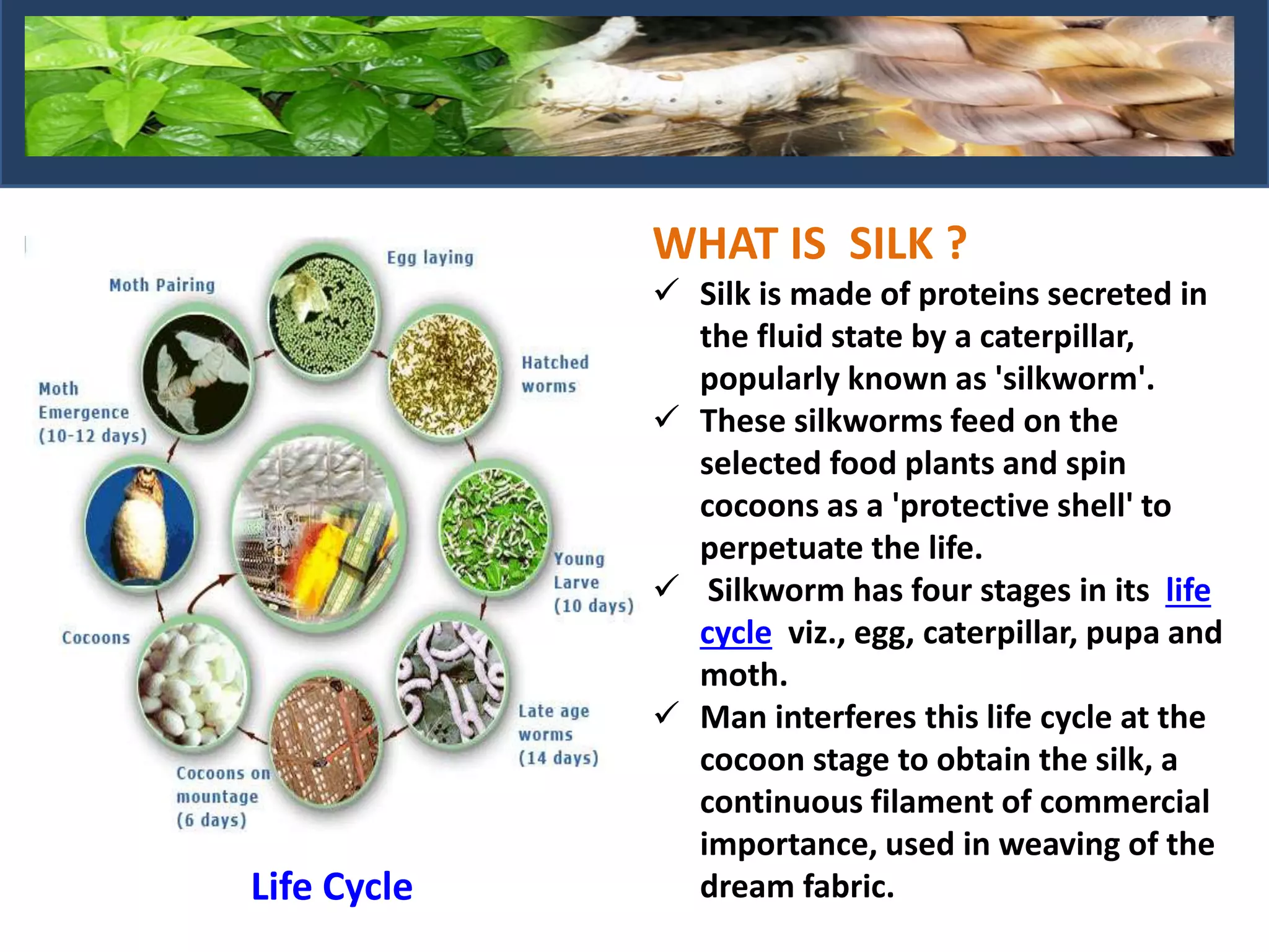 Sericulture & types of silks 1 | PPSX
