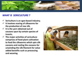 Sericulture & types of silks 1 | PPT
