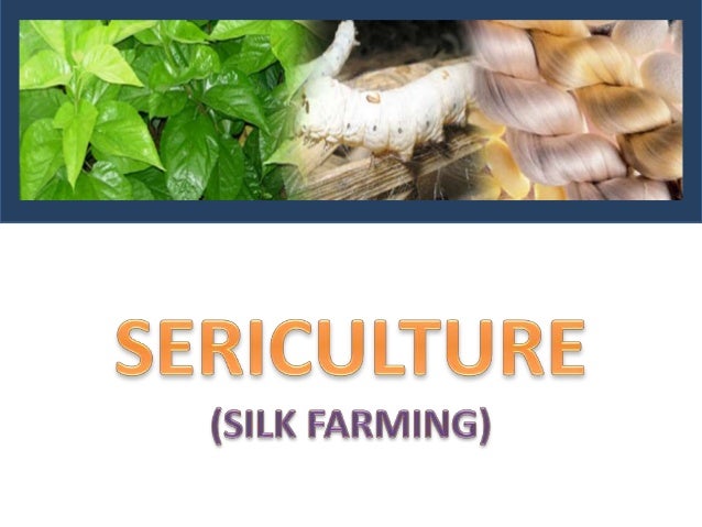 Sericulture & types of silks 1
