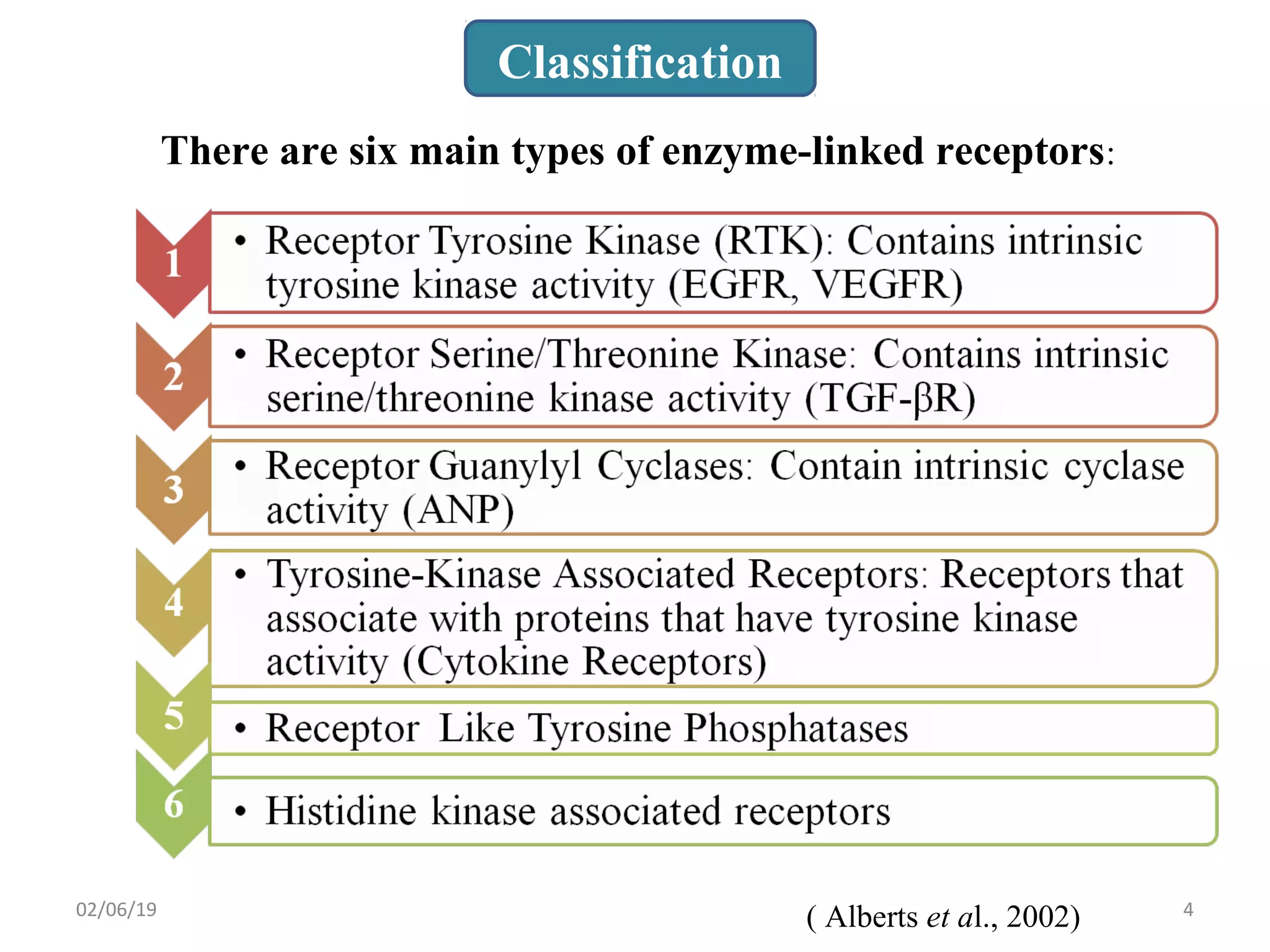 Serine threonine kinase rceptors | PPT