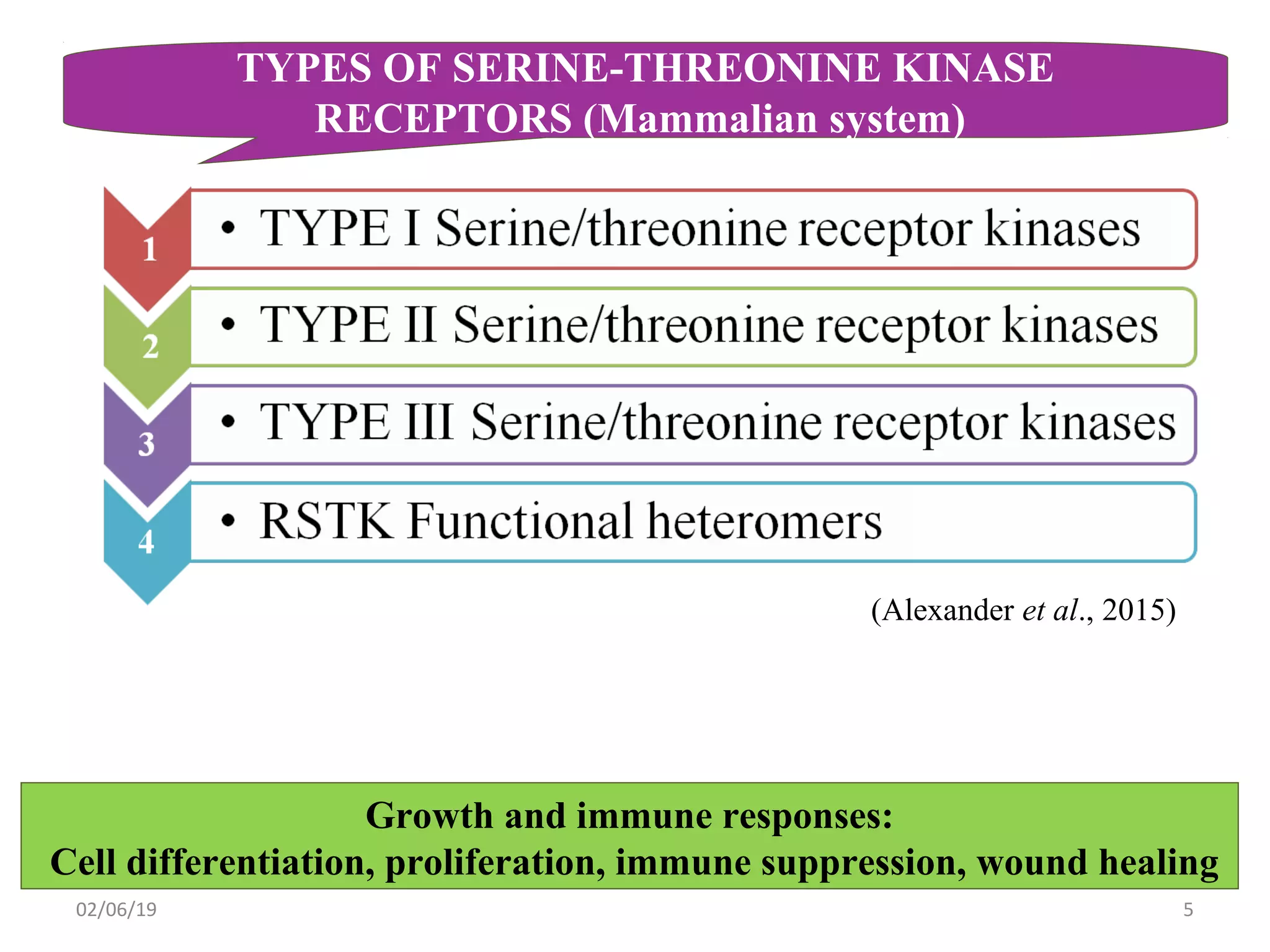 Serine threonine kinase rceptors | PPT