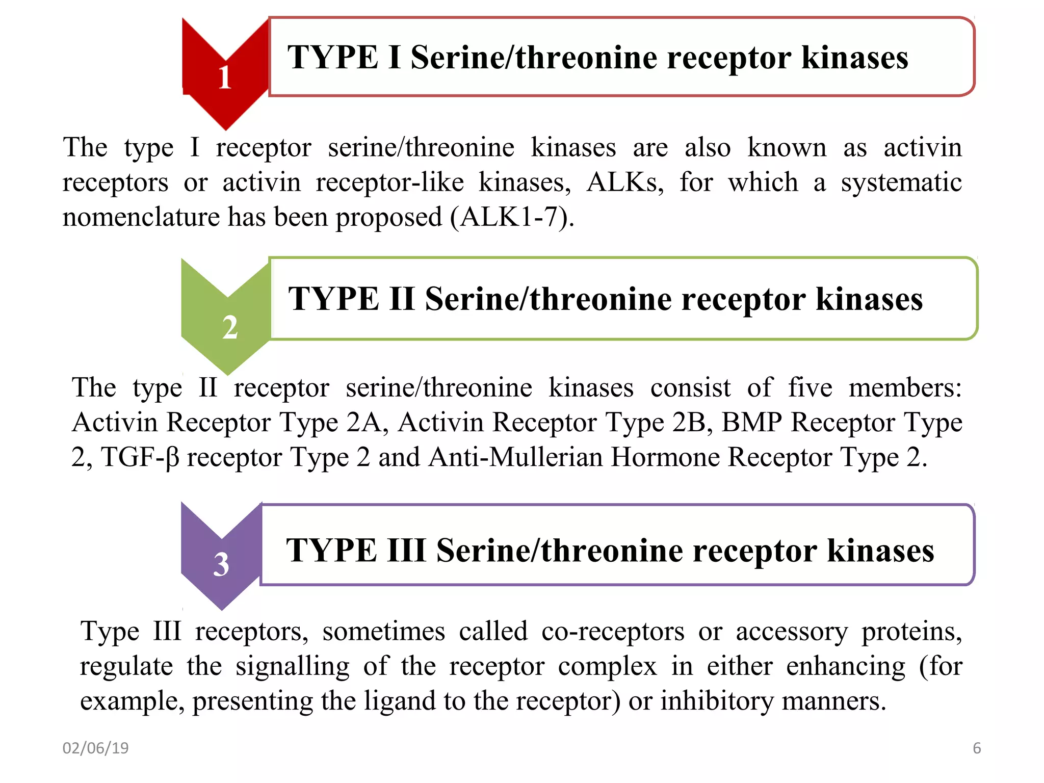 Serine threonine kinase rceptors | PPT