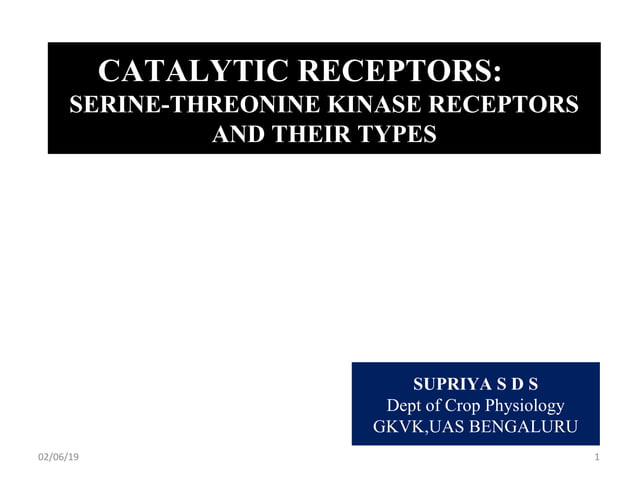 Serine threonine kinase rceptors | PPT