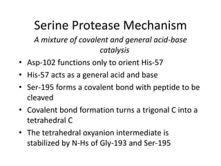 Serine proteases | PPTX
