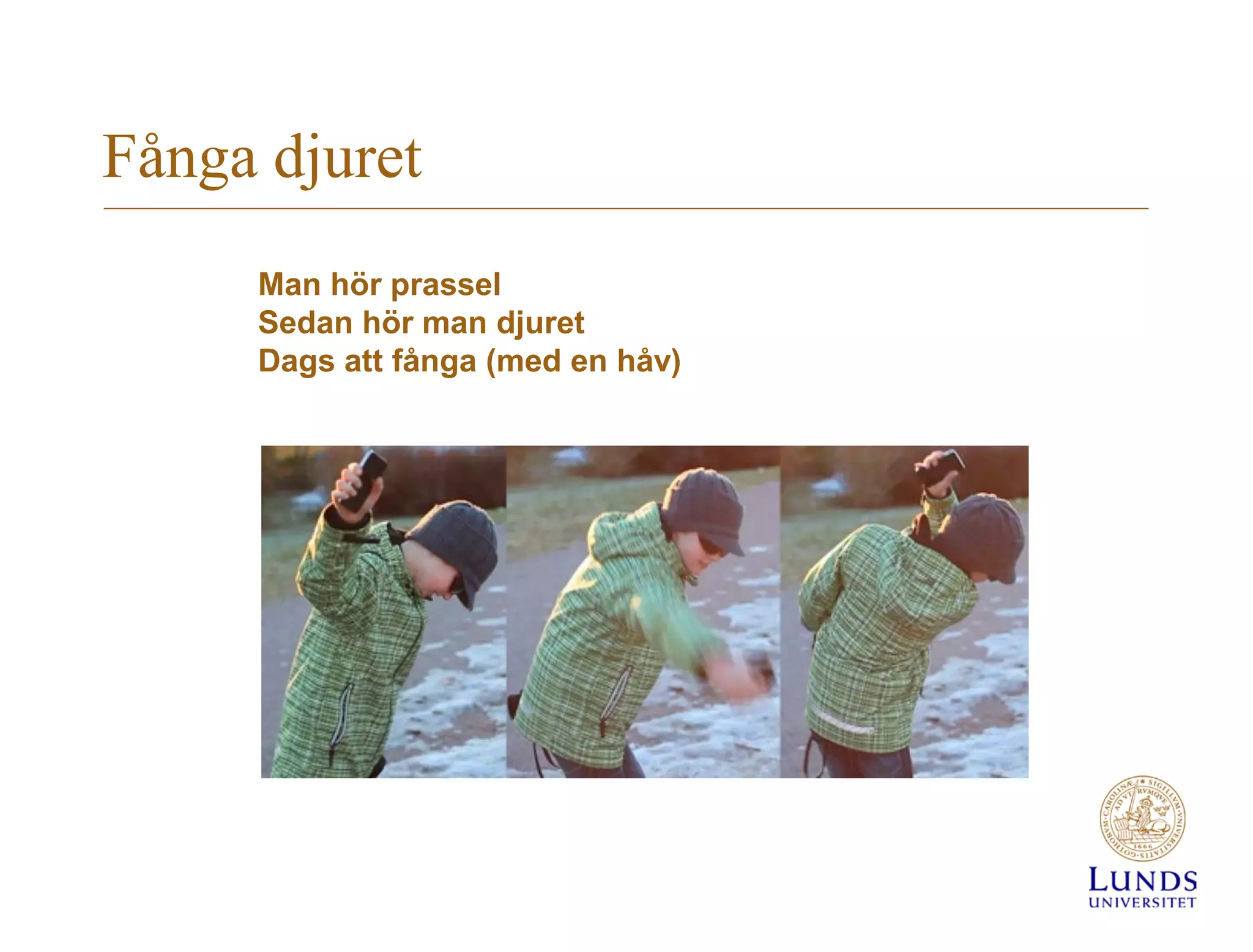 Serious games? (In Swedish) | PPT