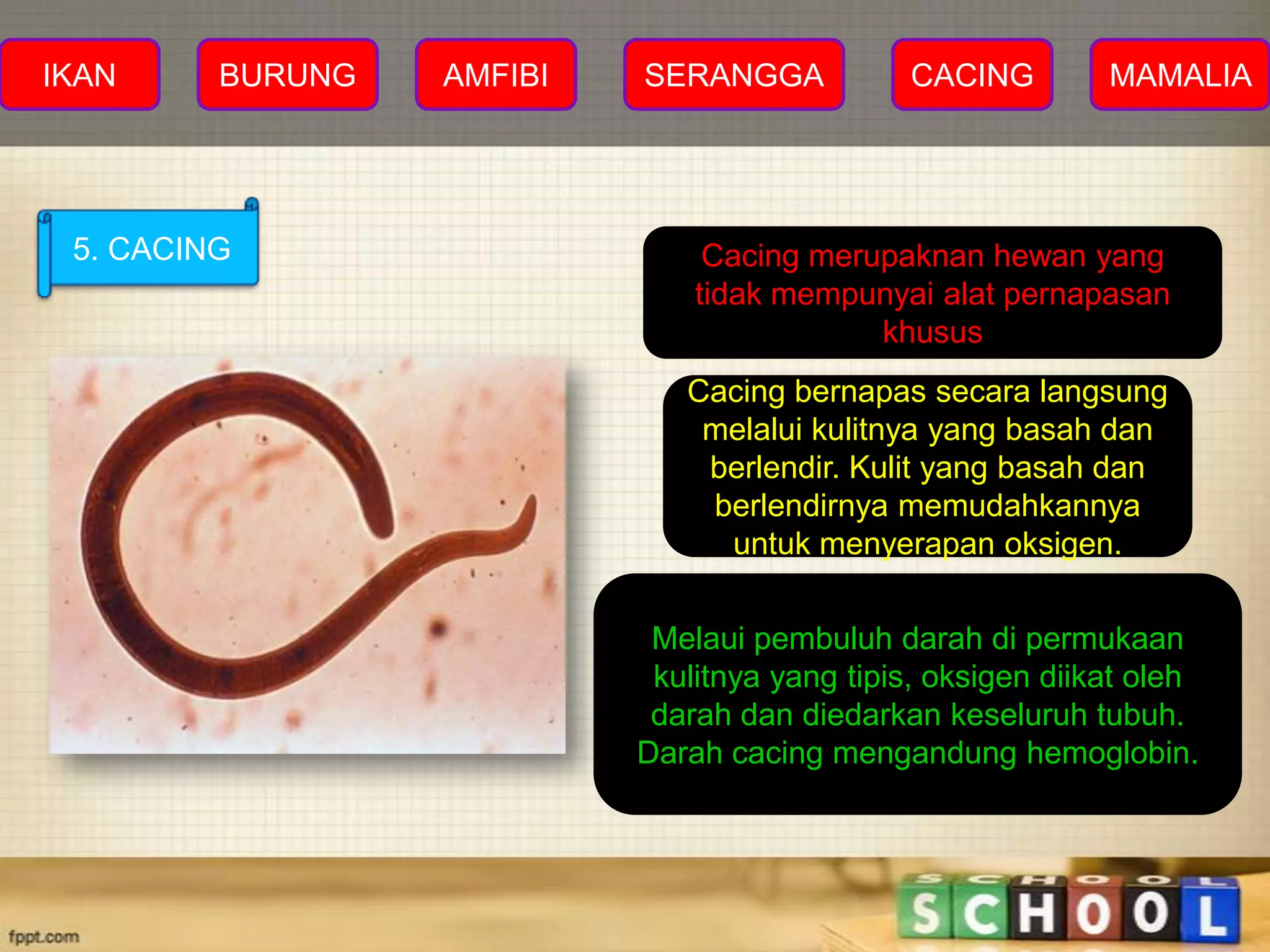 IPA DASAR - ALAT PERNAFASAN MANUSIA dan HEWAN | PPTX