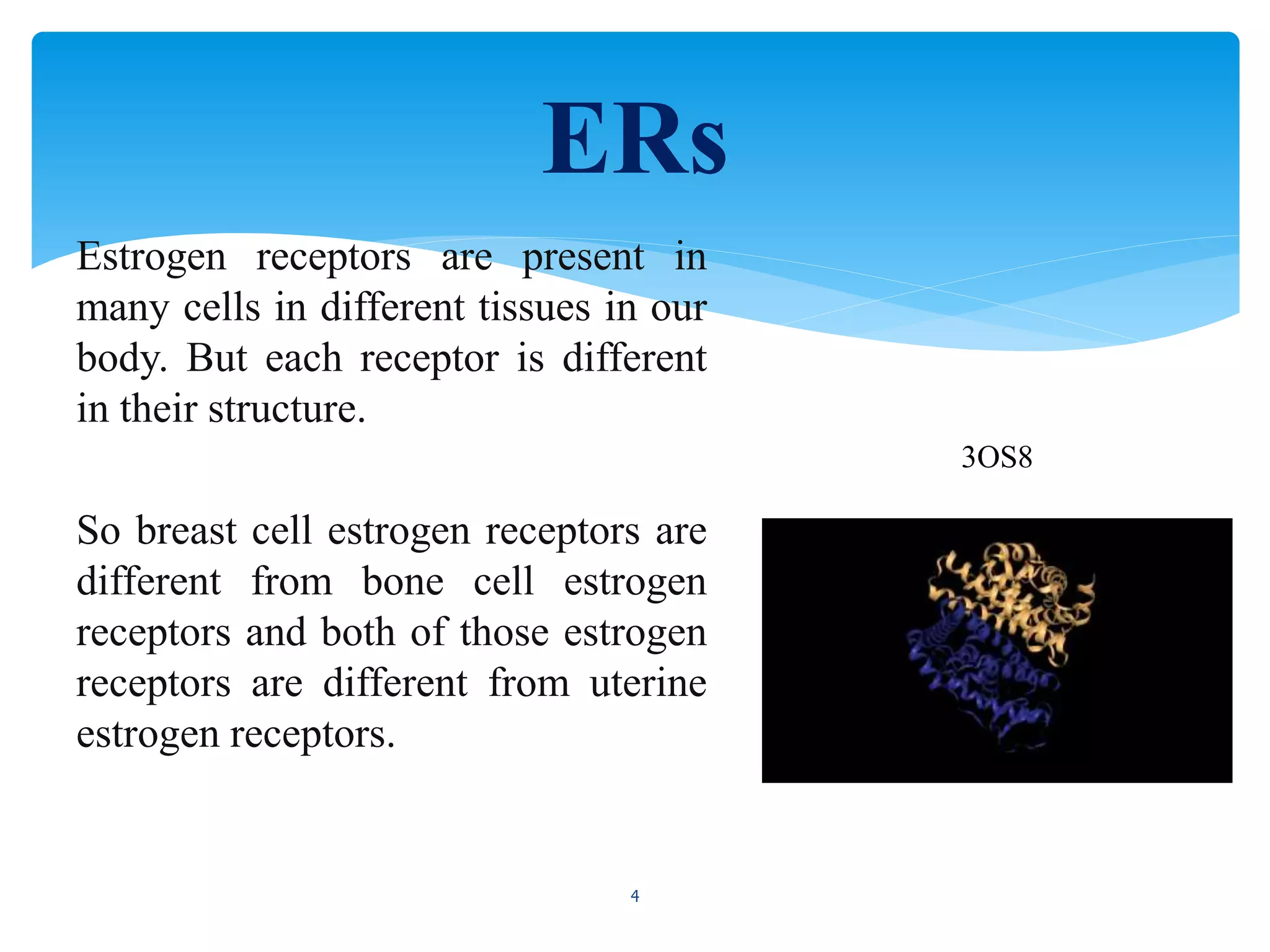 SERMs | PPTX