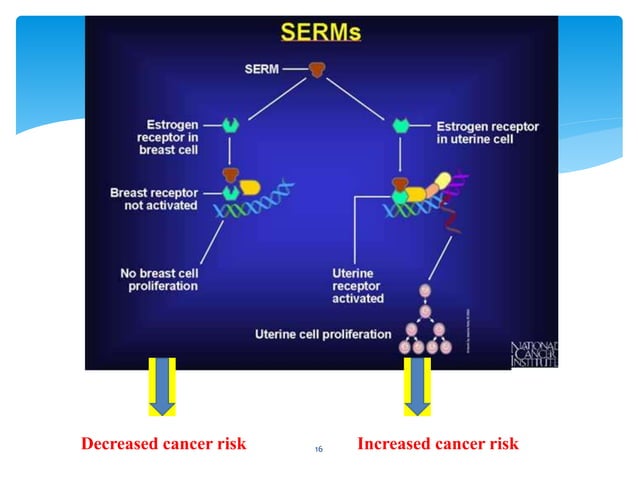 SERMs | PPTX | Menopause | Endocrine and Metabolic Diseases