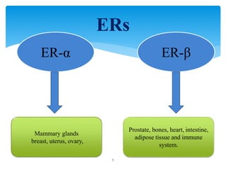 SERMs | PPTX