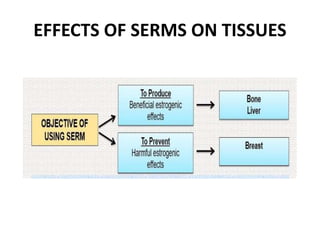SERM.pptx