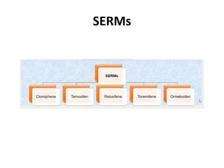 SERM.pptx