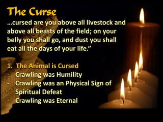 Light of Hope - Advent Week 1 | PPT