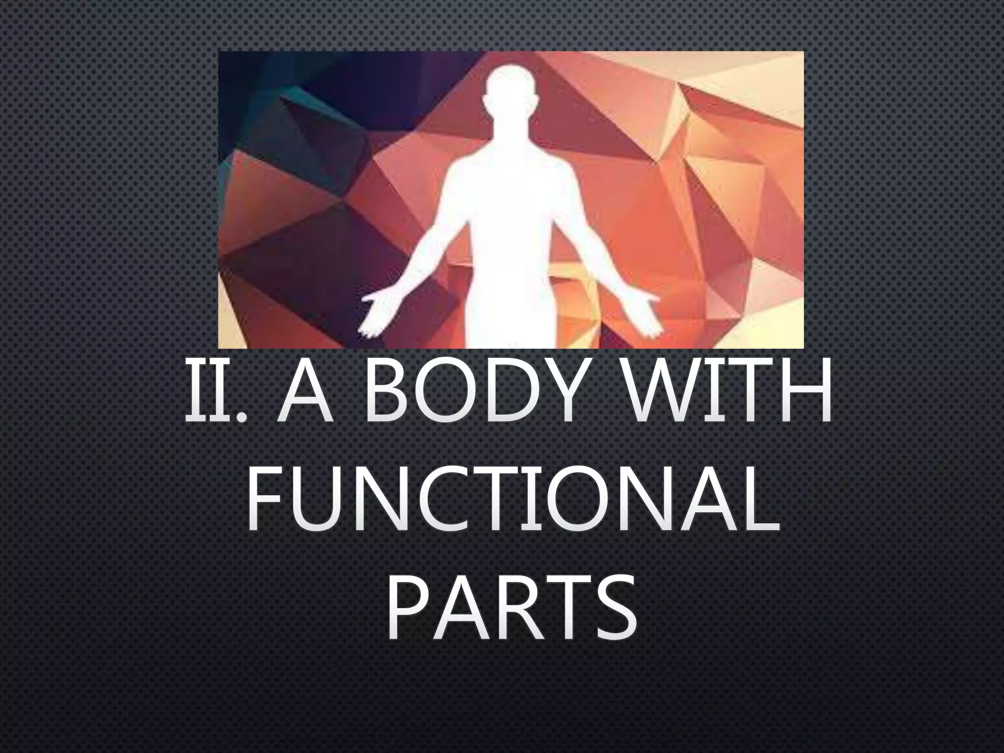 Church Sermon: The Church - The Body | PPTX