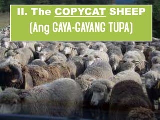 Ang Tupa | PPTX | Zoos & Aquariums | Attractions