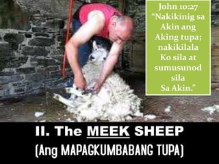 Ang Tupa | PPTX | Zoos & Aquariums | Attractions