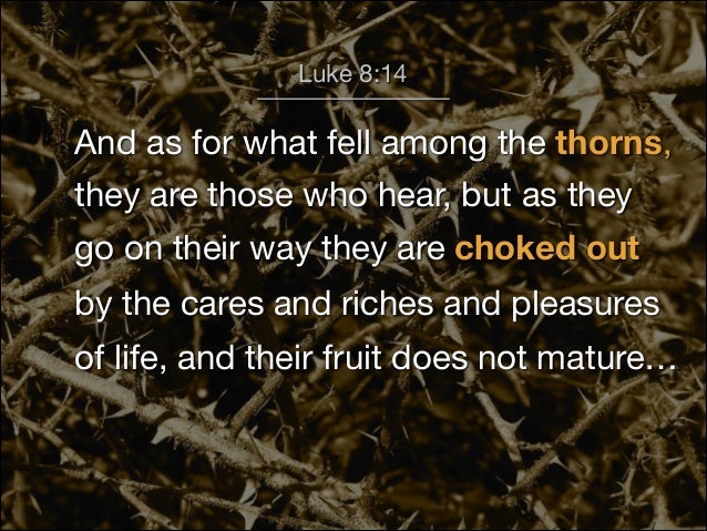 The Soil of Your Heart (Luke 8.1 15)