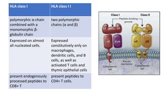 Serogenetic markers and HLA.pptx