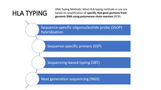 Serogenetic markers and HLA.pptx