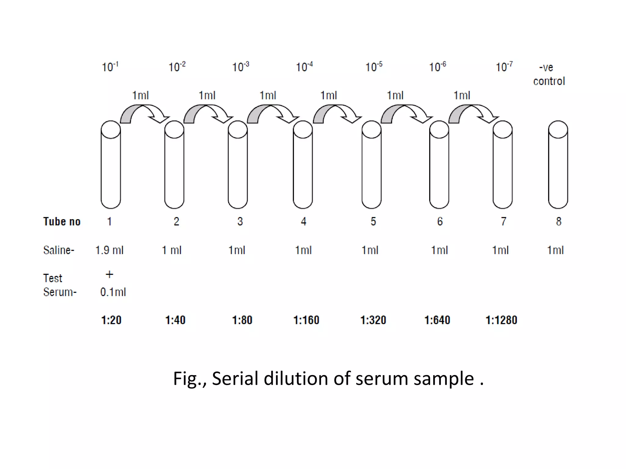 Serological tests-for-the-diagnosis-of-salmonella | PPTX